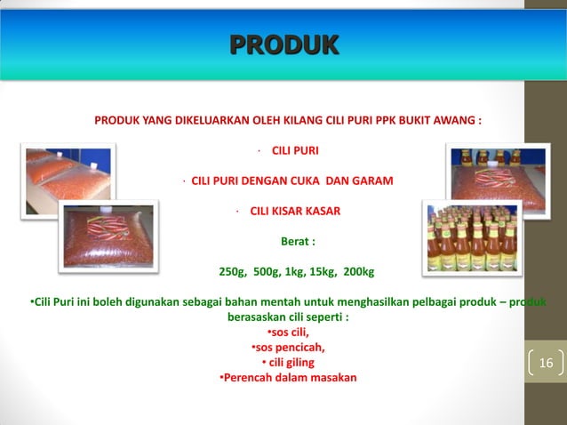 Tanaman cili fertigasi 2 | PDF