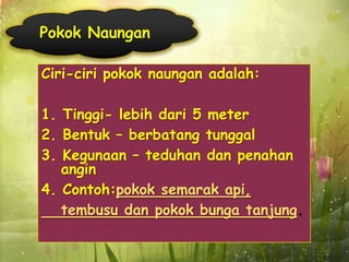 Tanaman hiasan | PPTX