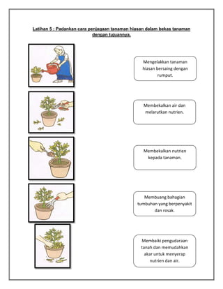 Tanaman hiasan | DOCX