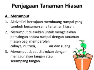 Tanaman hiasan | PPTX