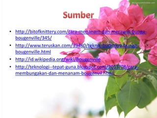 Tanaman Hias Bougenville | PPTX