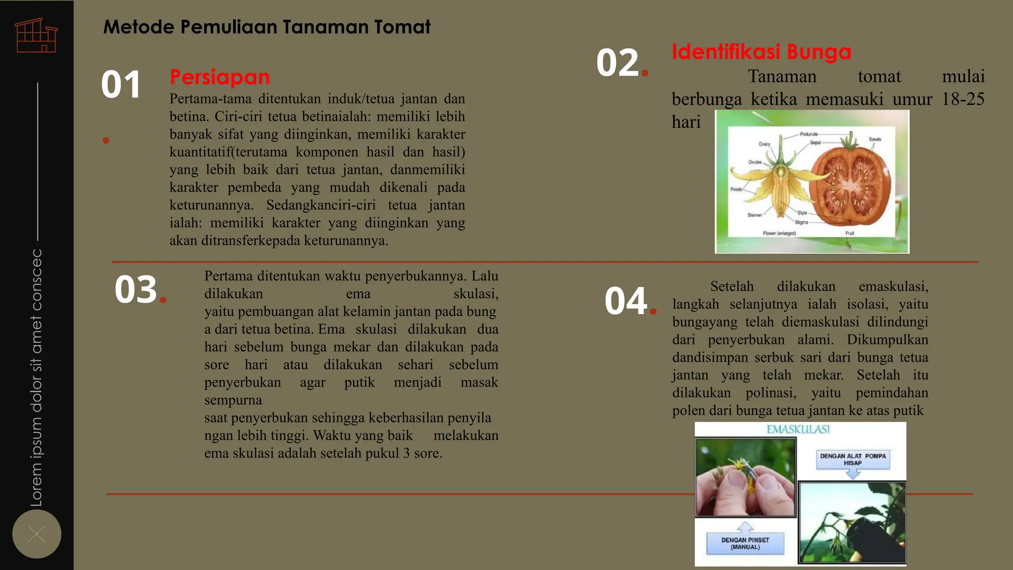 tanaman myerbuk pemuliaan tanaman.pptx