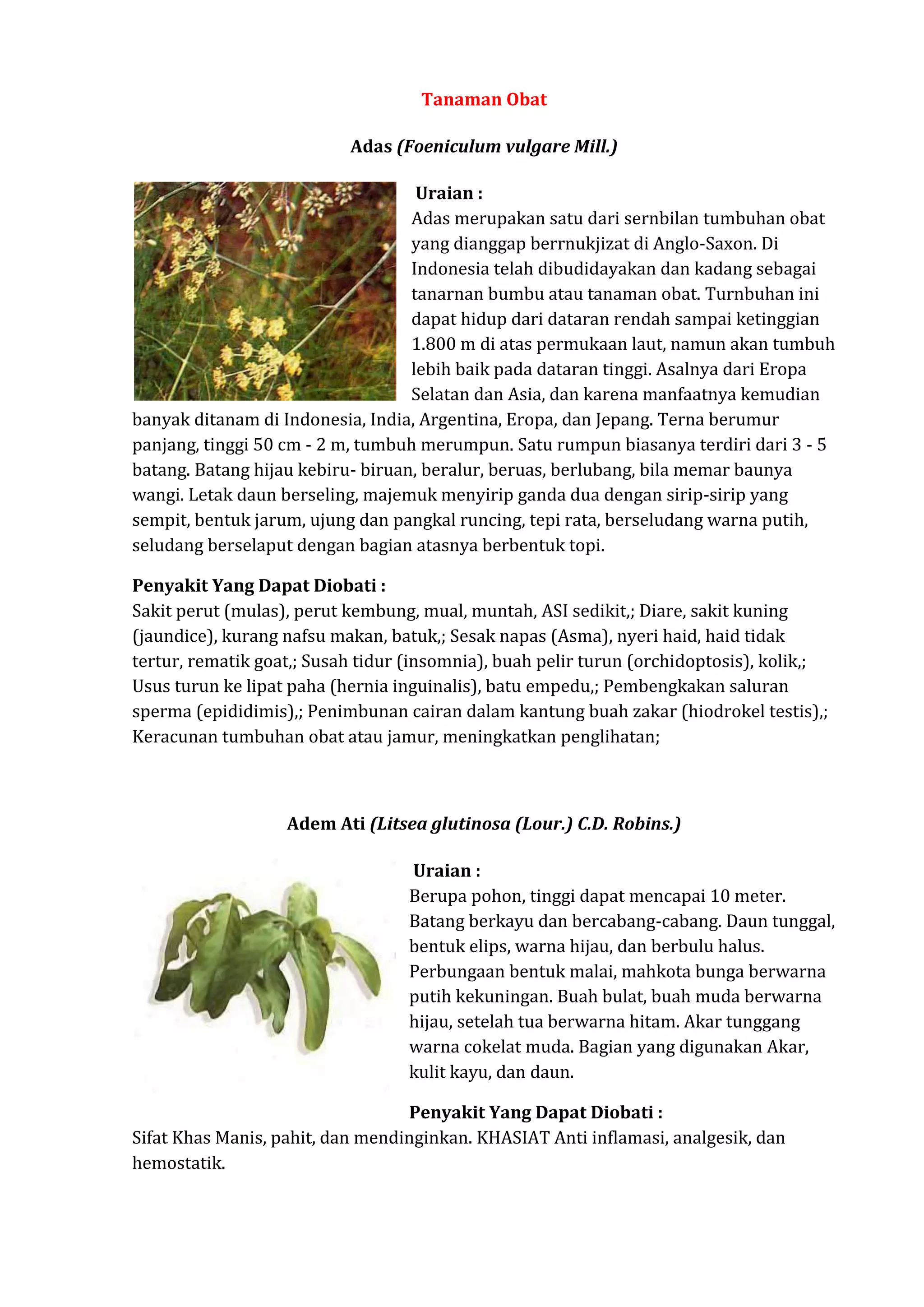 Tanaman obat | DOCX