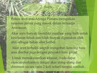 Tanaman Obat Hortikultura | PPTX