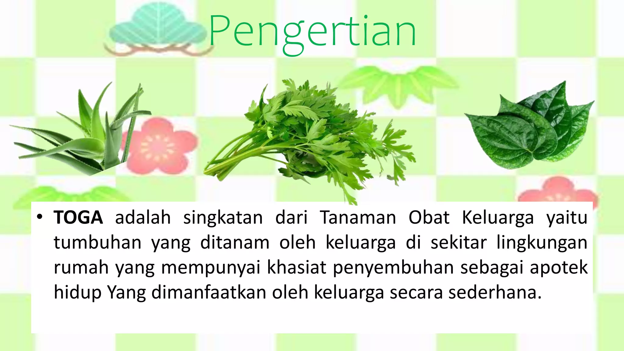 TANAMAN OBAT KELUARGA.pptx
