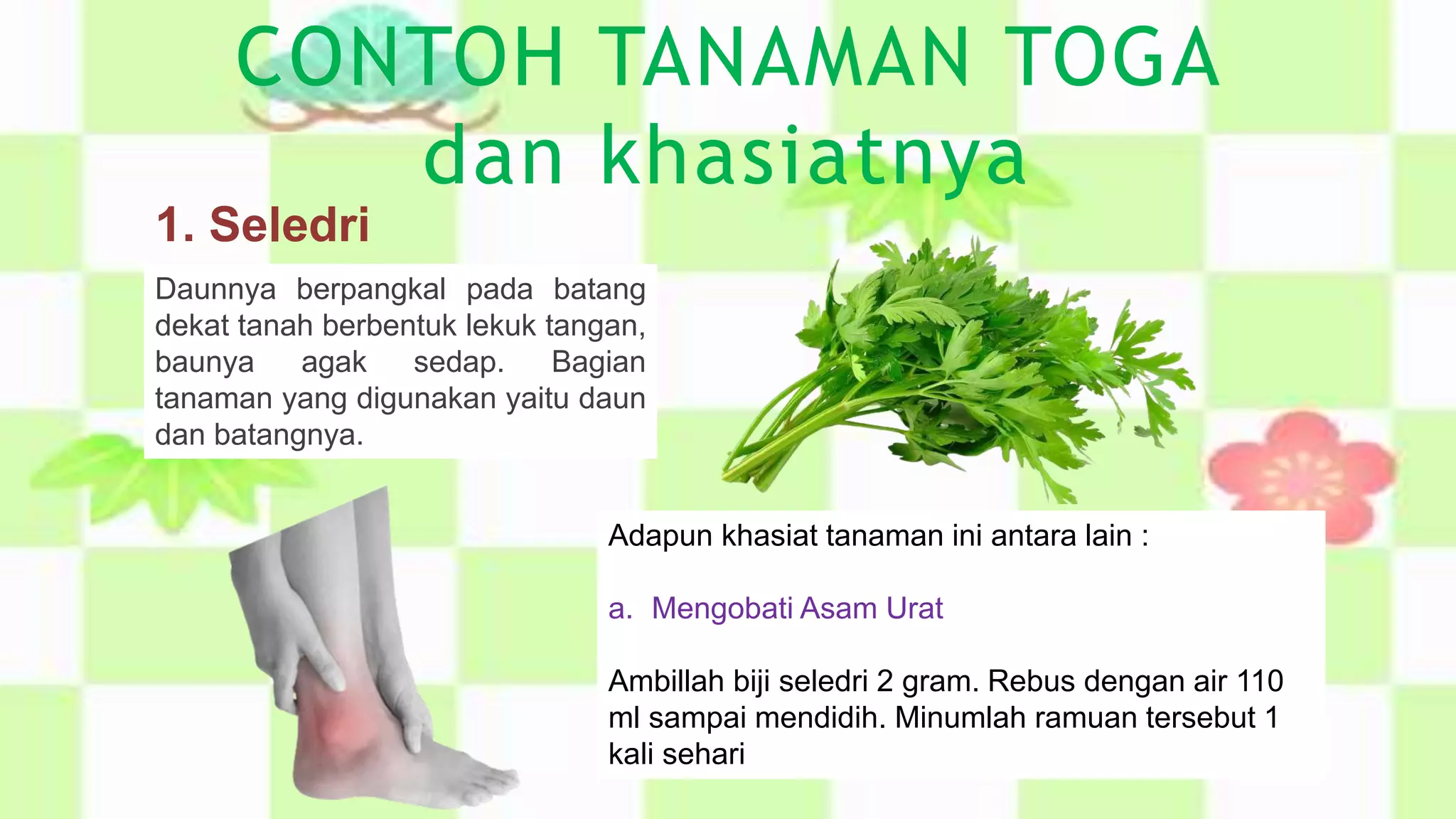 TANAMAN OBAT KELUARGA.pptx