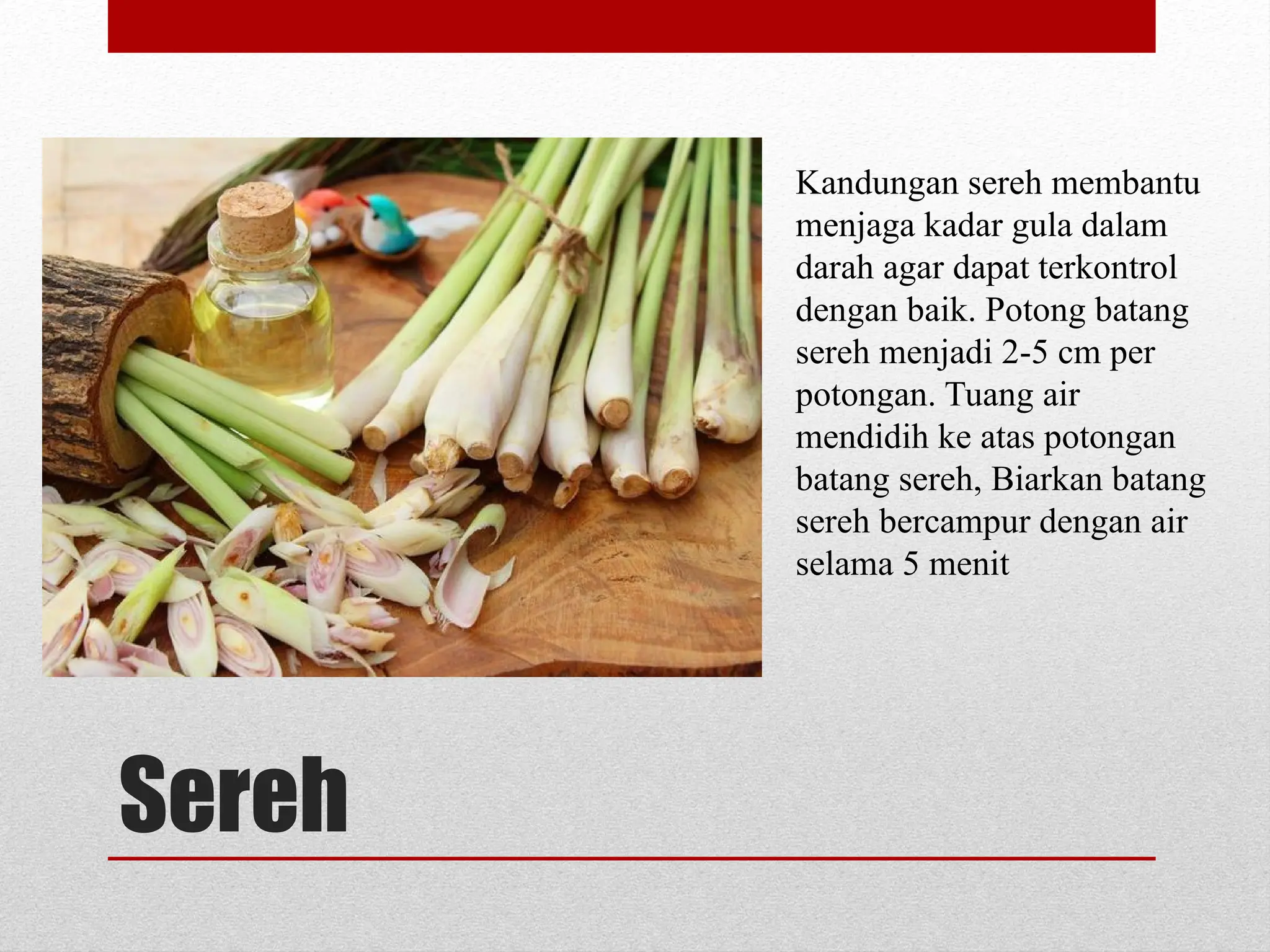 Tanaman Obat keluarga adaalh tntang obat | PPTX