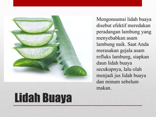 Tanaman Obat keluarga adaalh tntang obat | PPTX