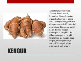 Tanaman Obat keluarga adaalh tntang obat | PPTX