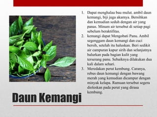 Tanaman Obat keluarga adaalh tntang obat | PPTX