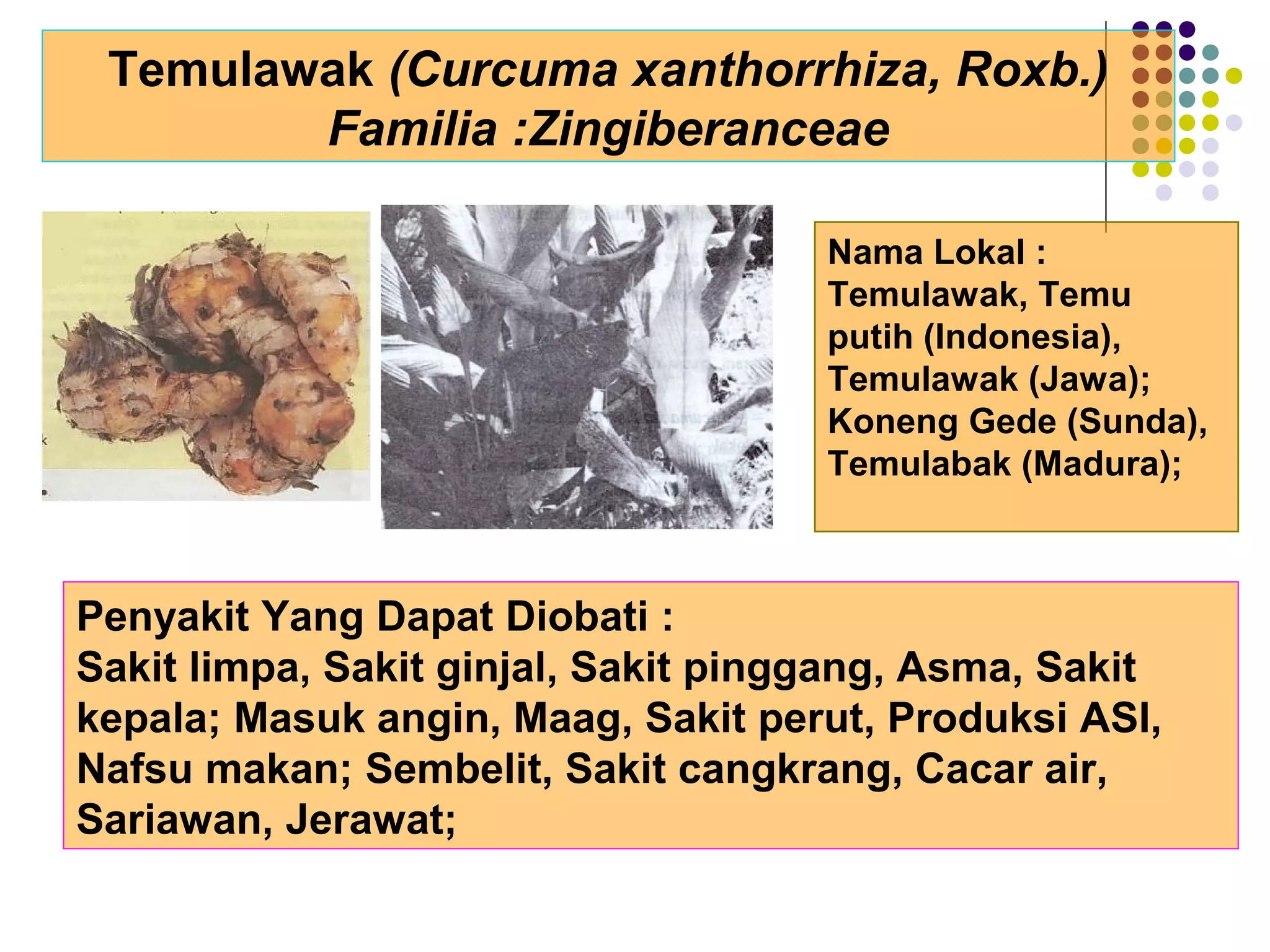 Tanaman obat ppt | PPT