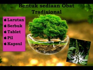 Tanaman obat tradisional pak bambang | PPT