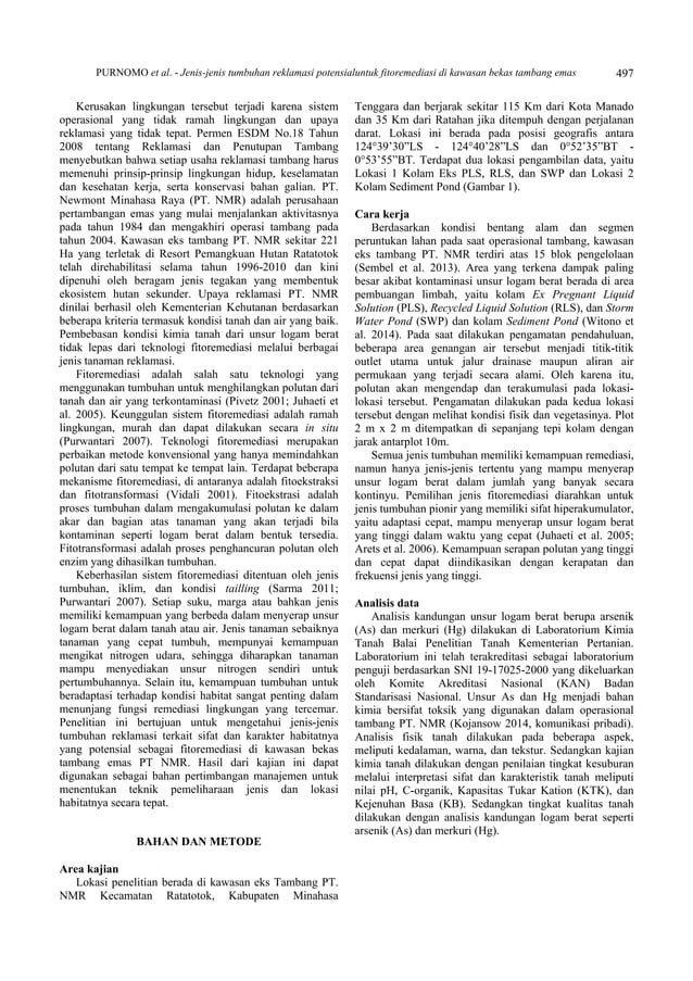 tanaman paku sebagai fitoremediasi di kawasan tambang emas.pdf