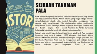 Tanaman Pala dan Penjelasannyaaaaaa.pptx