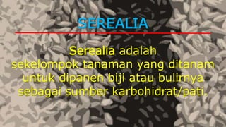 Tanaman pangan | PPTX