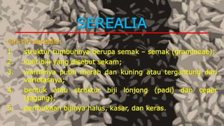 Tanaman pangan | PPTX