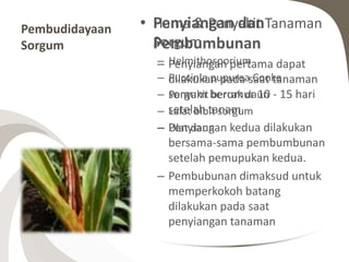tanamanpangan-160606235957.pdf