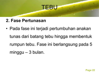 Tanaman penghasil bioenergi | PPTX