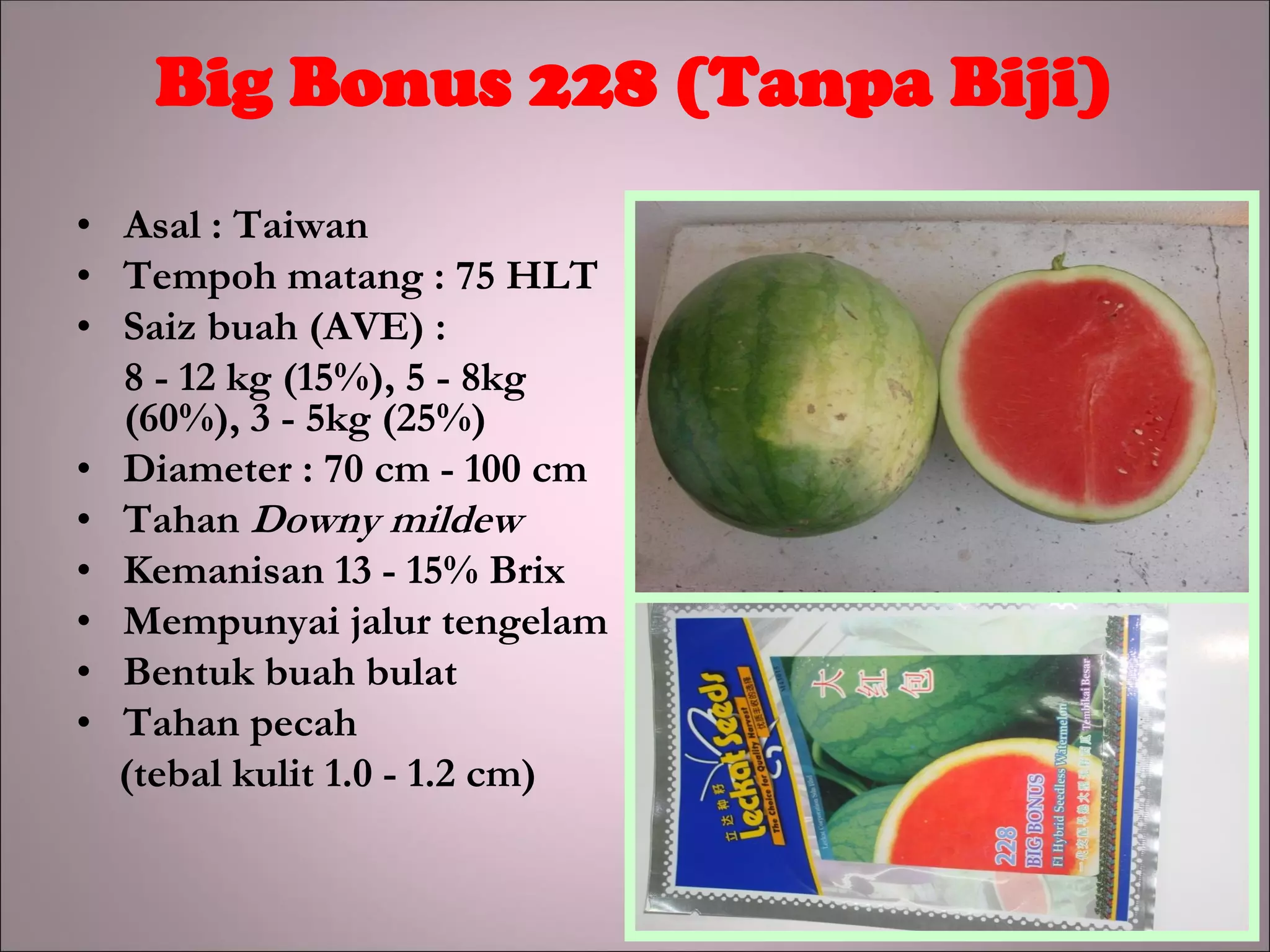 TANAMAN TEMBIKAI | PDF