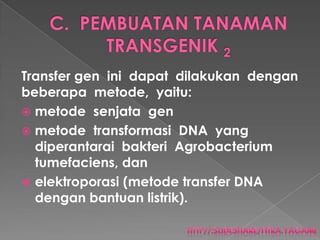 Tanaman Transgenik | PPTX