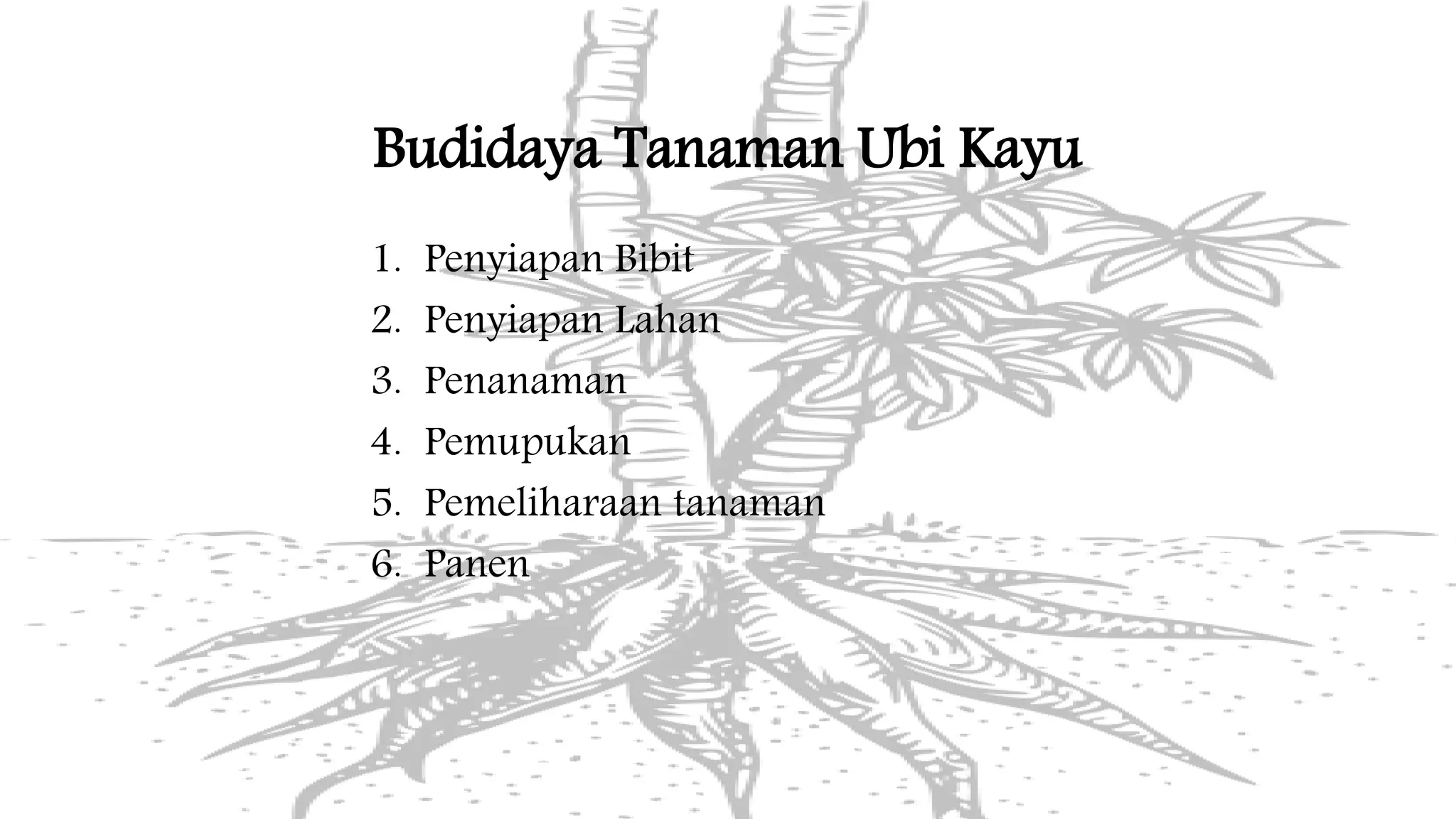 Tanaman ubi kayu | PPTX