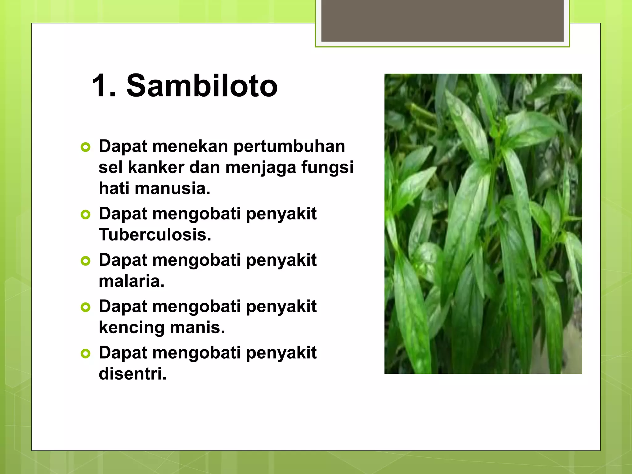 TANAMAN YANG BERMANFAAT BAGI KESEHATAN | PPTX