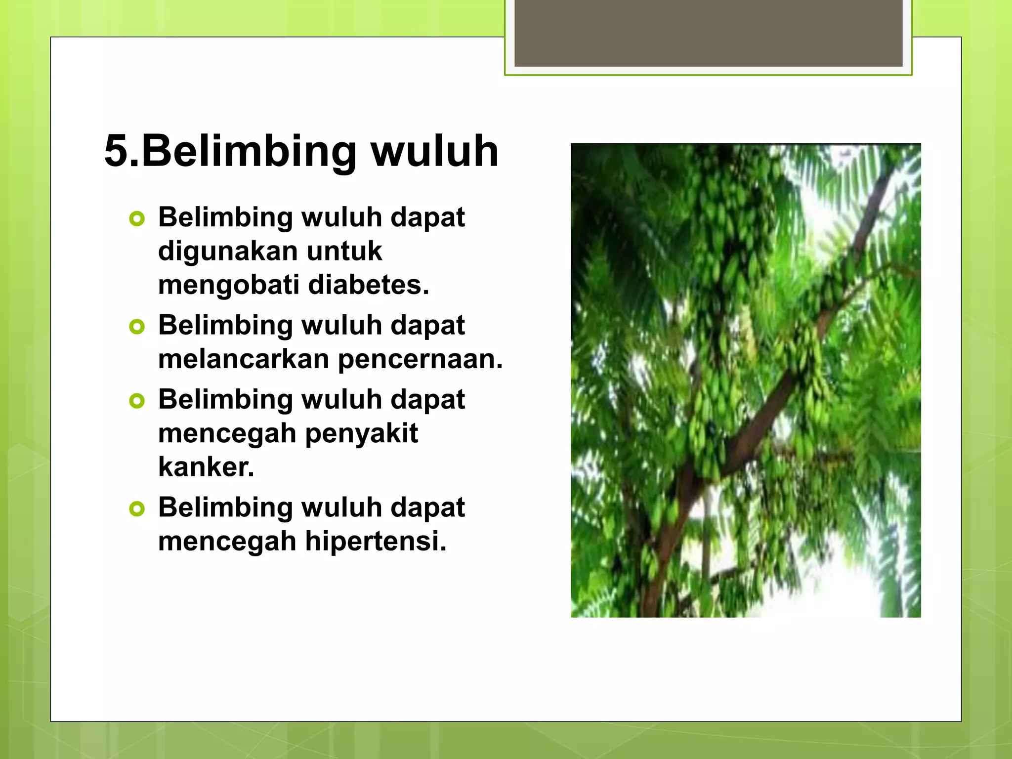 TANAMAN YANG BERMANFAAT BAGI KESEHATAN | PPTX