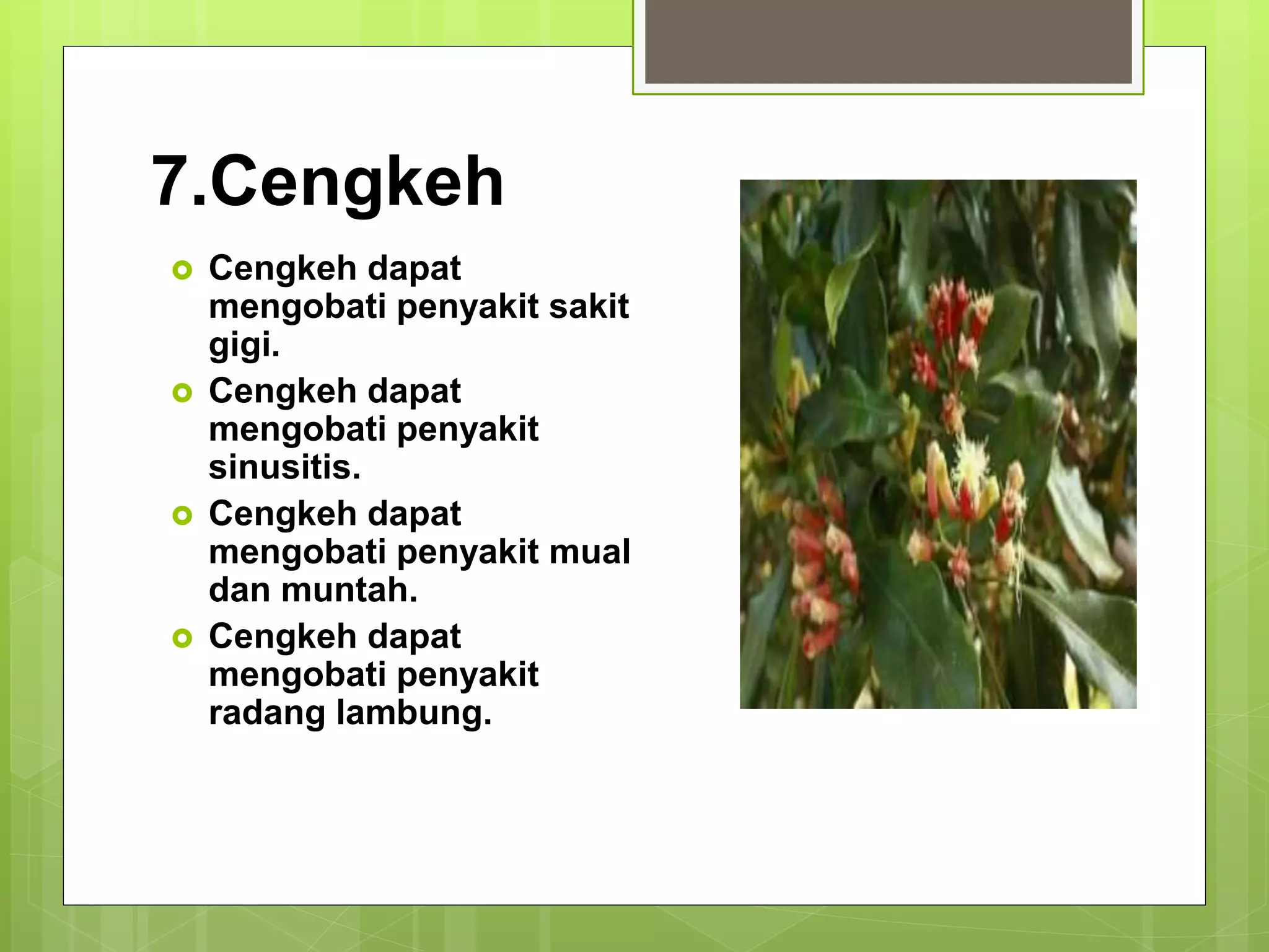 TANAMAN YANG BERMANFAAT BAGI KESEHATAN | PPTX