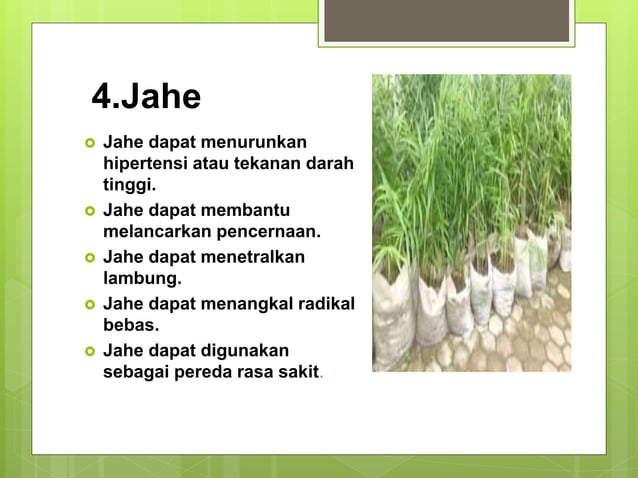 TANAMAN YANG BERMANFAAT BAGI KESEHATAN | PPTX