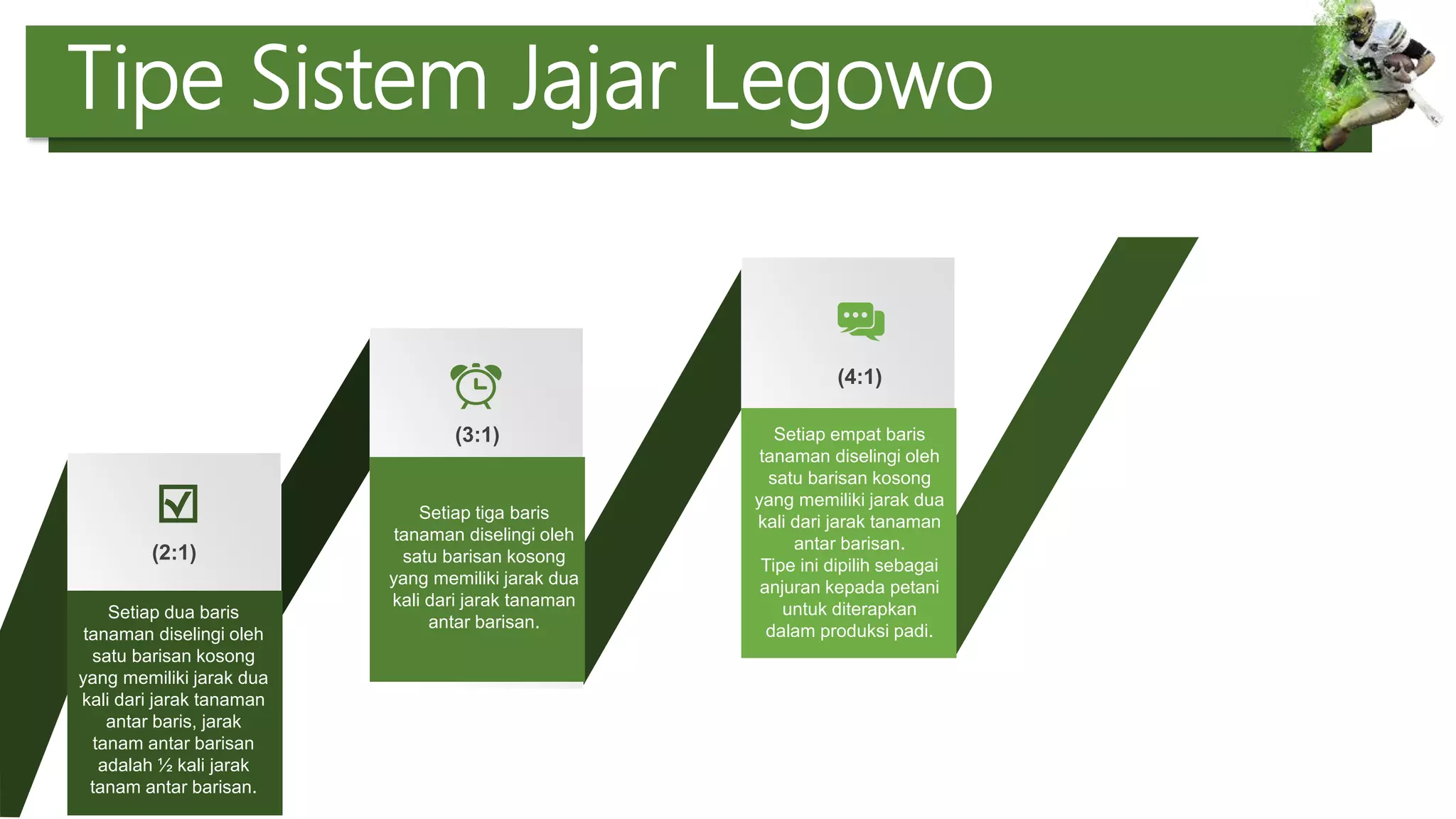 Tanam padi dengan sistem jajar legowo | PPTX