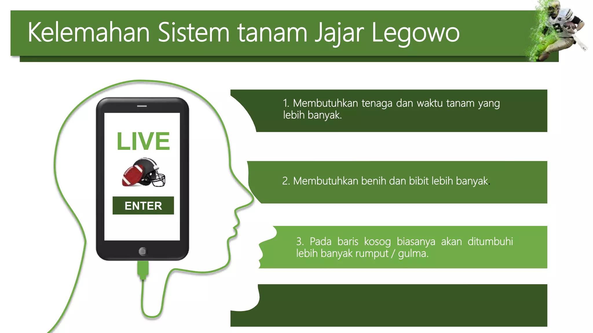 Tanam padi dengan sistem jajar legowo | PPTX