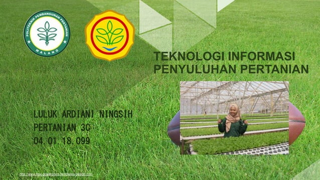 Tanam padi dengan sistem jajar legowo | PPTX