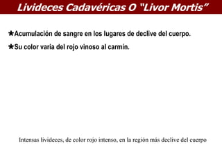 tanatologia.ppt