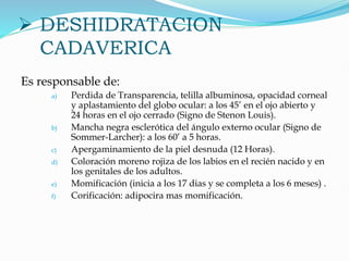 presentación diapositivas de Tanatologia forense | PPTX