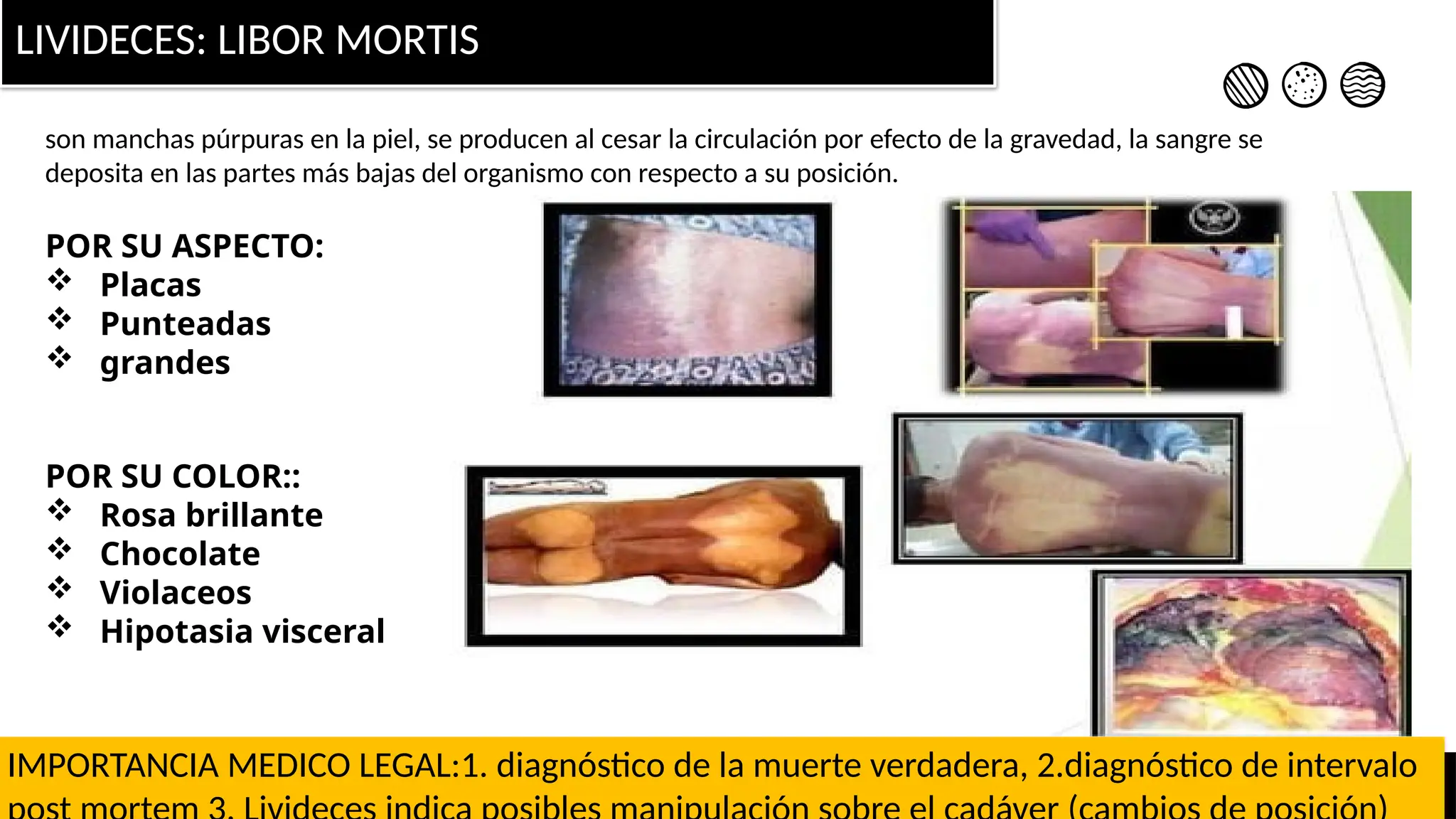 TANATOLOGIA.pptx en medicina legal de medicina | PPTX