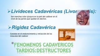 Tanatologia forense | PPTX
