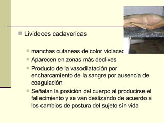 Tanatologia | PPT