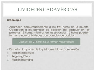 fenomenos cadavericos | PPTX