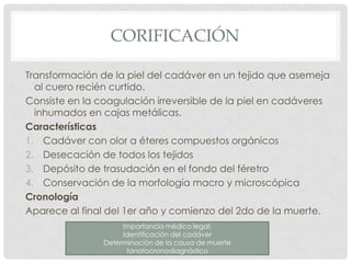 fenomenos cadavericos | PPTX