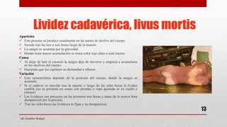 Tanatologia presentacion | PPTX