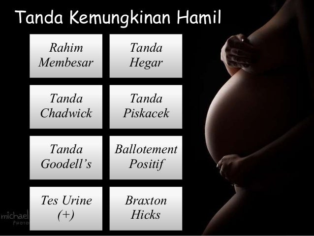 Tanda tanda kehamilan