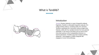 TandAb | PPT