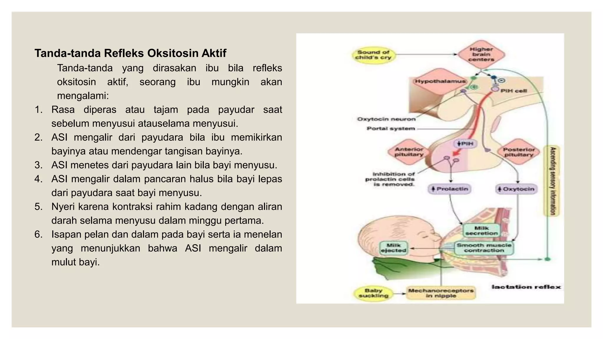 TANDA BAYI CUKUP ASI.pptx