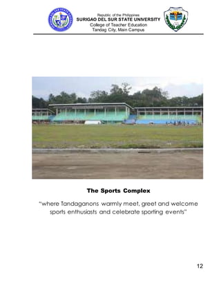 Tandag City Spots and Landmarks | DOCX