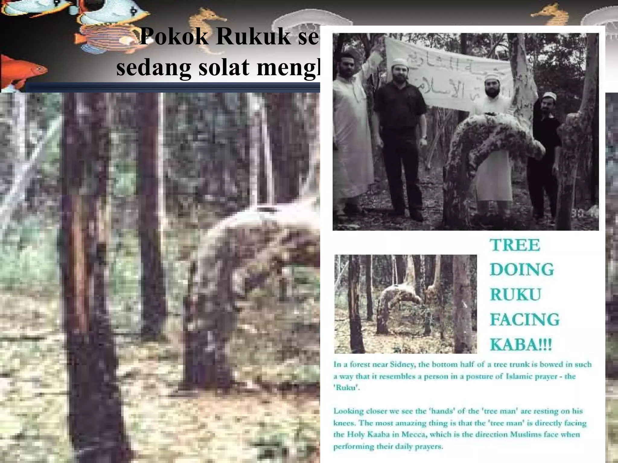 Tanda kebesaran allah | PPT
