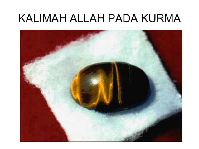 Tanda Kekuasaan Allah | PPS