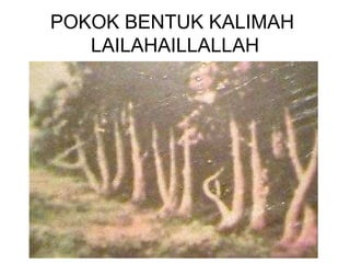 Tanda Kekuasaan Allah