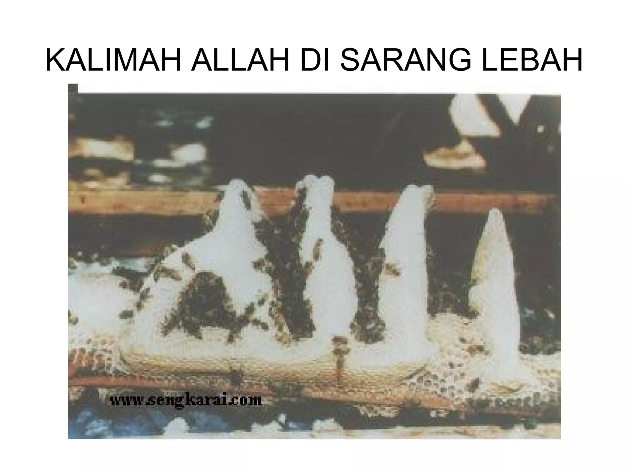 Tanda kekuasaan allah | PPT