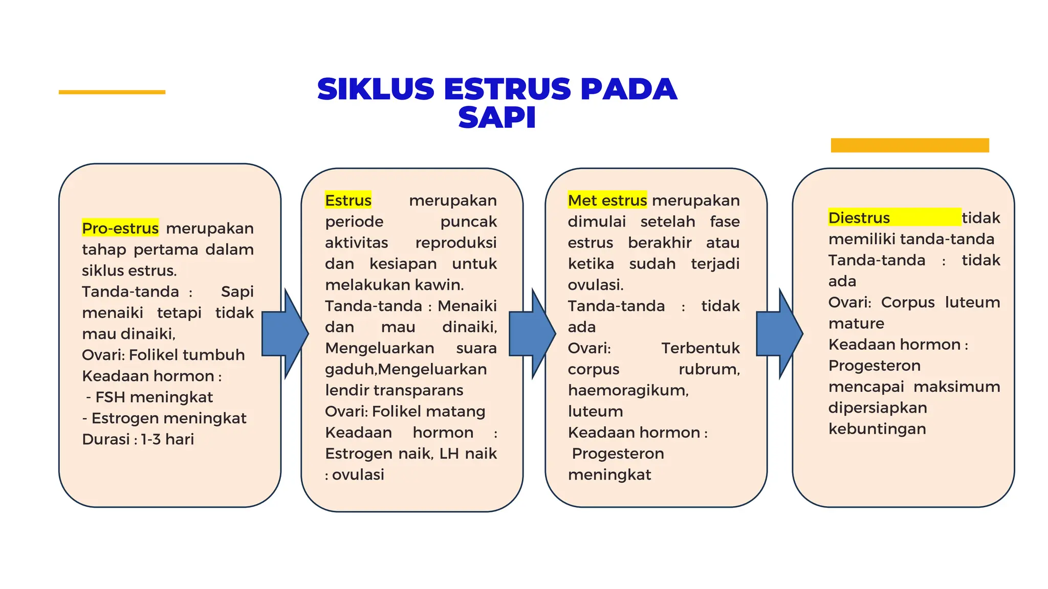 The sign of estrus in cattle : from the cycle, proestrus, estrus ...