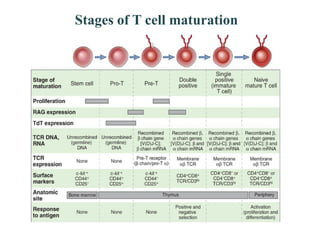 T and b cells | PDF